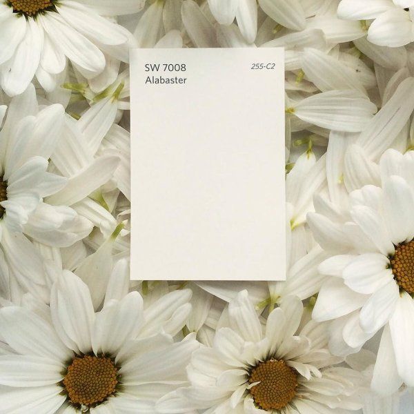 Sherwin Williams Alabaster SW 7008 - West Magnolia Charm