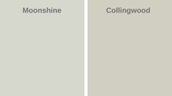 Collingwood OC-28- A Benjamin Moore Favorite - West Magnolia Charm