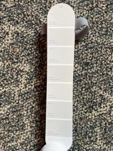 Sherwin Williams City Loft SW7631 Review - West Magnolia Charm