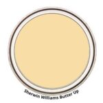 10 Best Sherwin Williams Yellow Paint Colors - West Magnolia Charm
