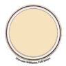 10 Best Sherwin Williams Yellow Paint Colors - West Magnolia Charm
