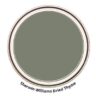 Sherwin Williams Dried Thyme Paint Color Review - West Magnolia Charm