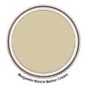 Best Cream Paint Colors - West Magnolia Charm
