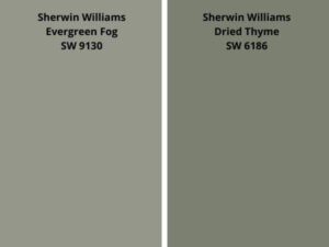 Sherwin Williams Dried Thyme Paint Color Review - West Magnolia Charm