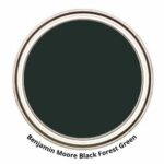 14 Best Dark and Moody Benjamin Moore & Sherwin Williams Paint Colors ...