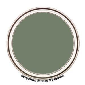 Benjamin Moore Rosepine 461- Full Paint Color Review - West Magnolia Charm