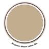 15 Benjamin Moore Warm Neutrals to Elevate Your Space - West Magnolia Charm