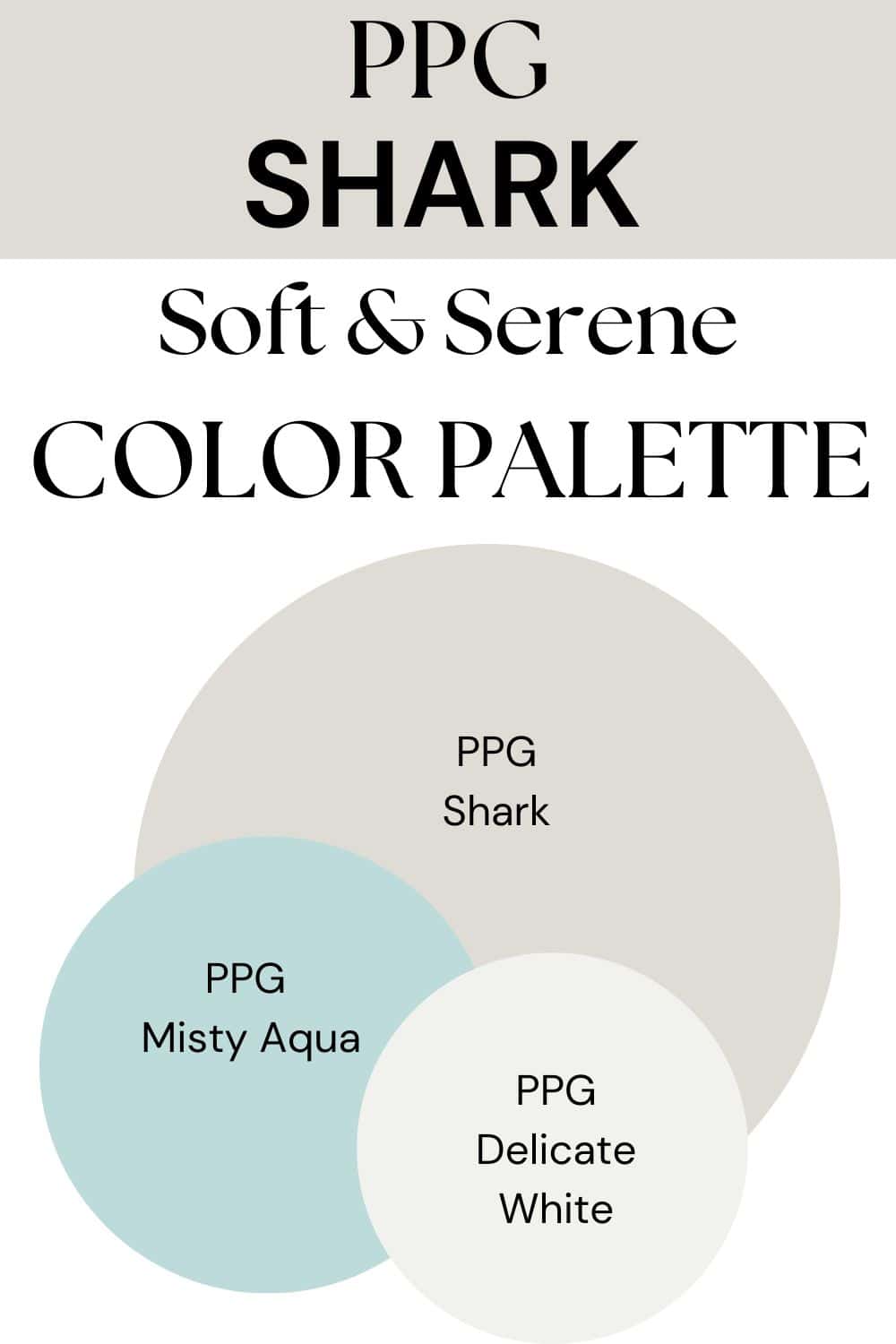 Shark PPG1006-2 Paint Color Review - A Warm Gray with Subtle Sass ...