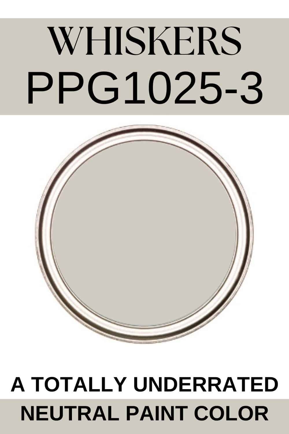 Whiskers PPG1025-3 Paint Color Review: A Sepia Greige Worth Purring ...