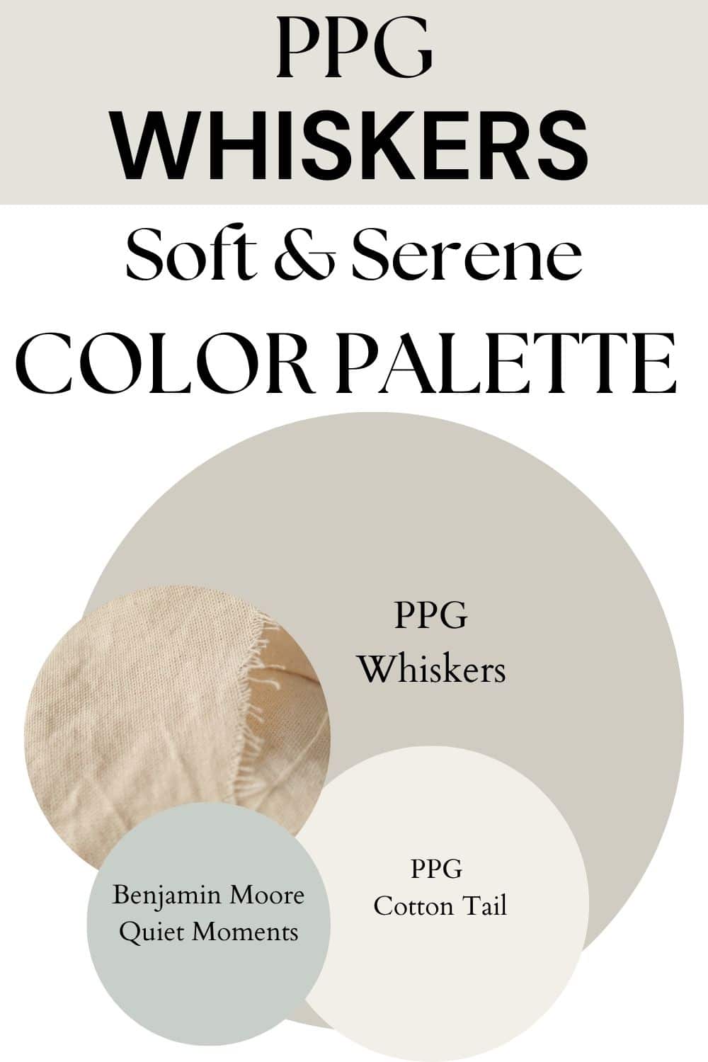 Whiskers PPG1025-3 Paint Color Review: A Sepia Greige Worth Purring ...