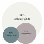 Delicate White PPG1001-1 Paint Color Review - West Magnolia Charm