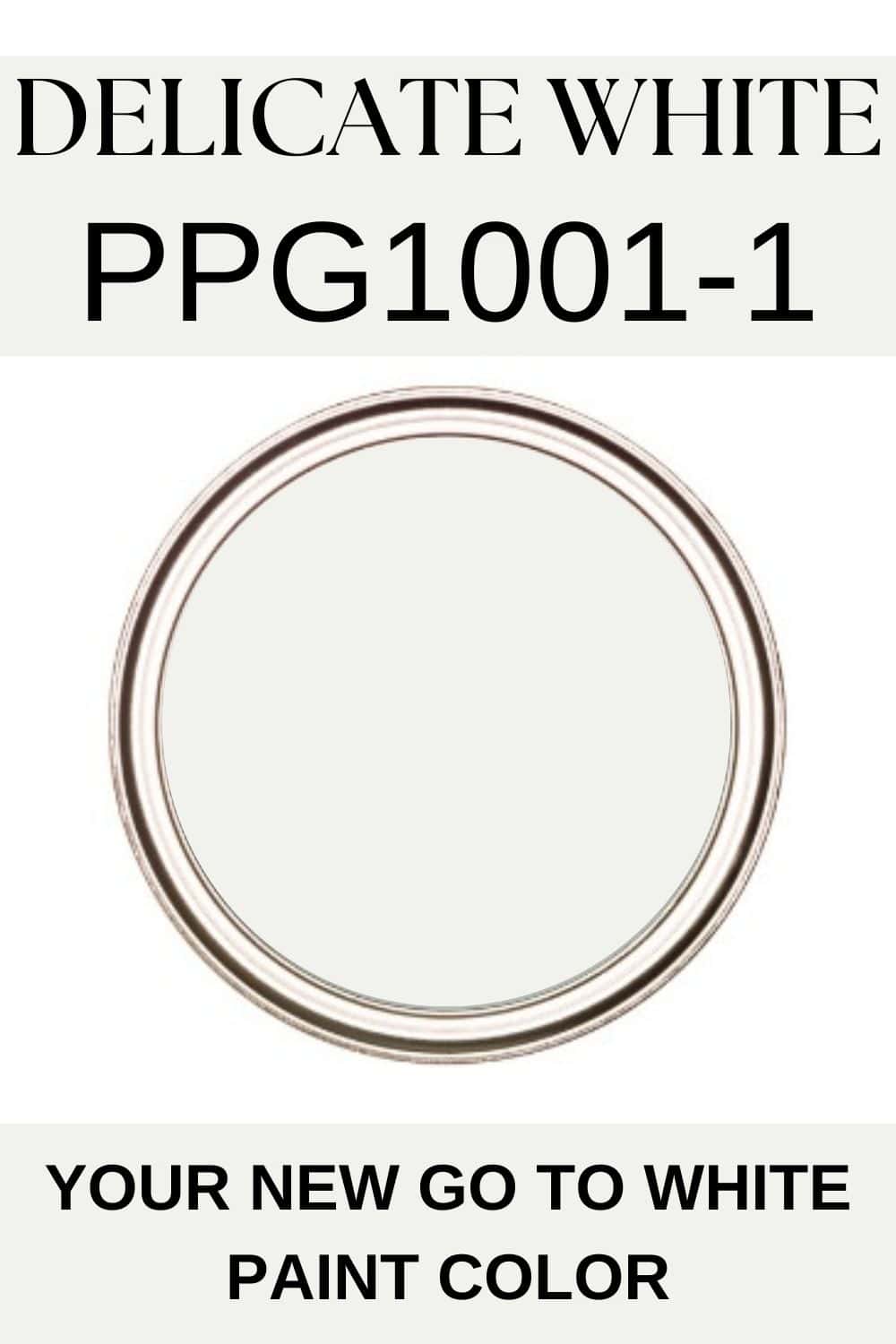 Delicate White PPG1001-1 - westmagnoliacharm.com