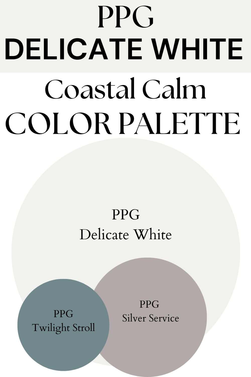 Delicate White PPG1001-1 - westmagnoliacharm.com
