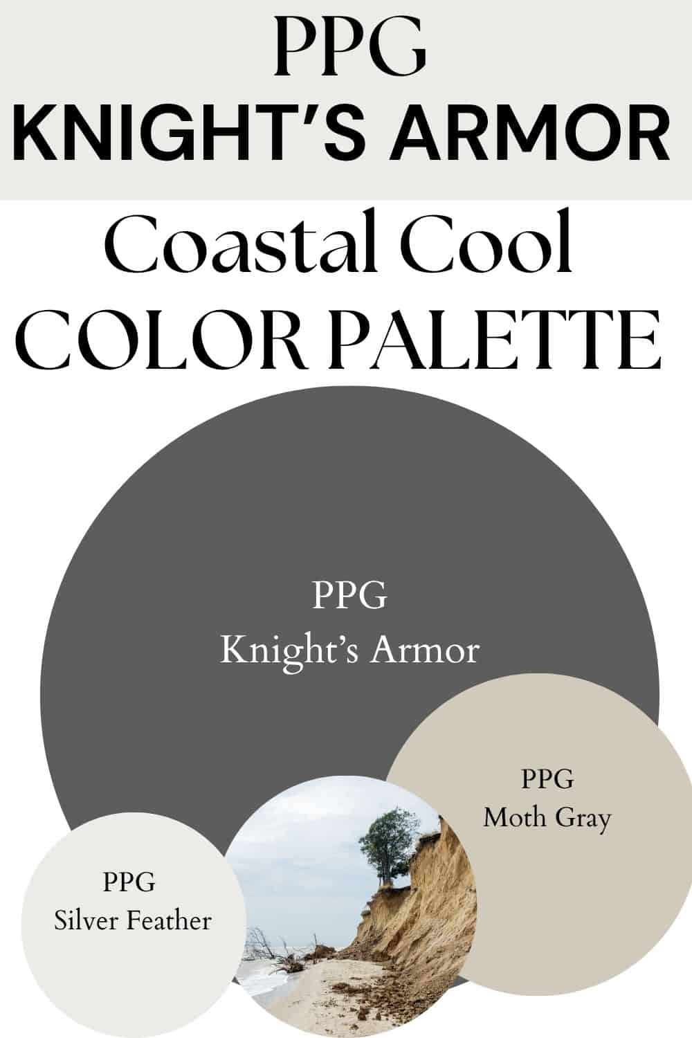 PPG Knight’s Armor PPG1001-6 - westmagnoliacharm.com